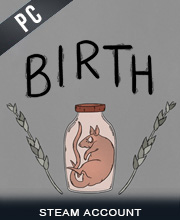 Birth Steam-account Prijzen vergelijken