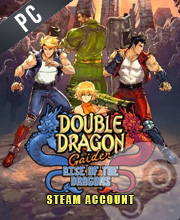 Double Dragon Gaiden Rise of the Dragons Steam-account Prijzen vergelijken
