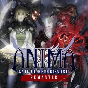 Koop Anima Gate of Memories I & II Remastered Nintendo Switch 2 Goedkope Prijsvergelijke