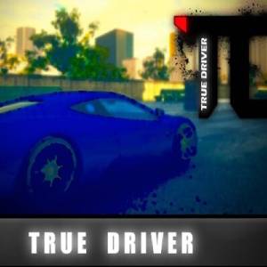 Koop True Driver CD Key Goedkoop Vergelijk de Prijzen