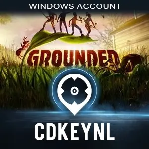 Grounded Windows-account Prijzen vergelijken